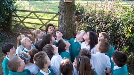 Pupils box clever for feathered friends | wellington-today.co.uk