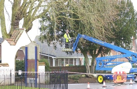 Trees get 'haircut' | wellington-today.co.uk