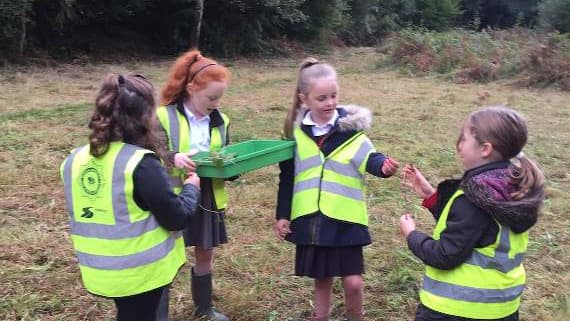Welly walkers | wellington-today.co.uk
