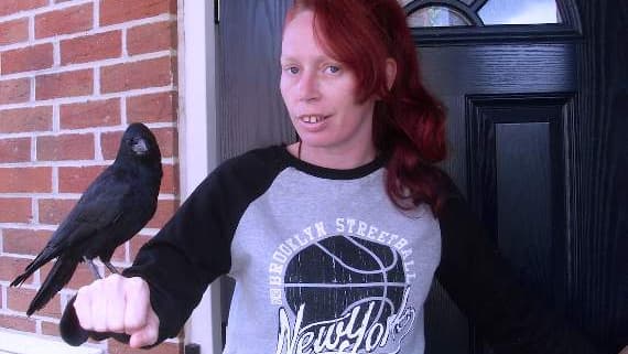 Black Pudding gets the bird at convenience store | wellington-today.co.uk