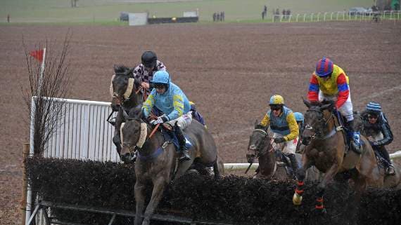Biddick’s a double winner at Chipley | wellington-today.co.uk