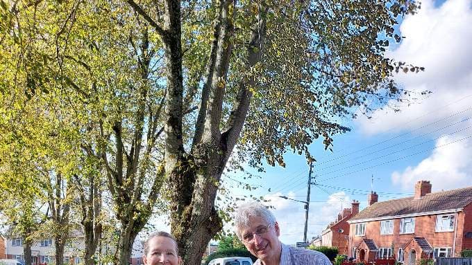 Purple planting at Roly Poly Green | wellington-today.co.uk