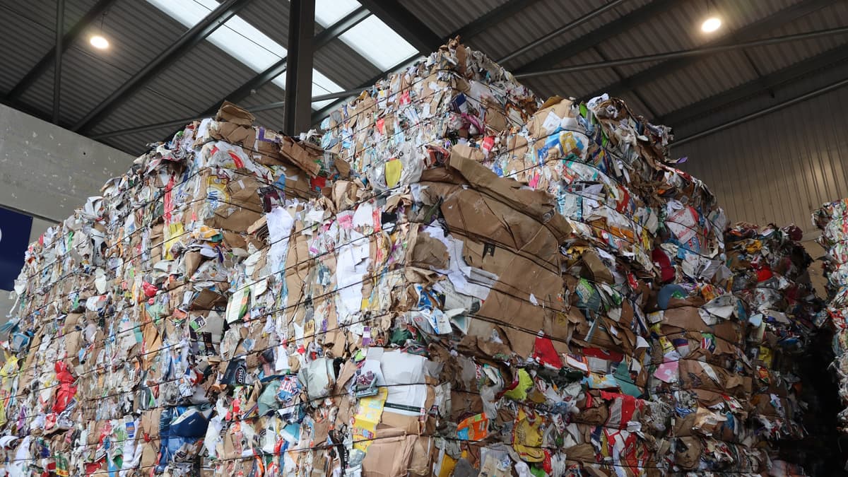 First ever waste awareness week set up by Somerset Waste Partnership ...