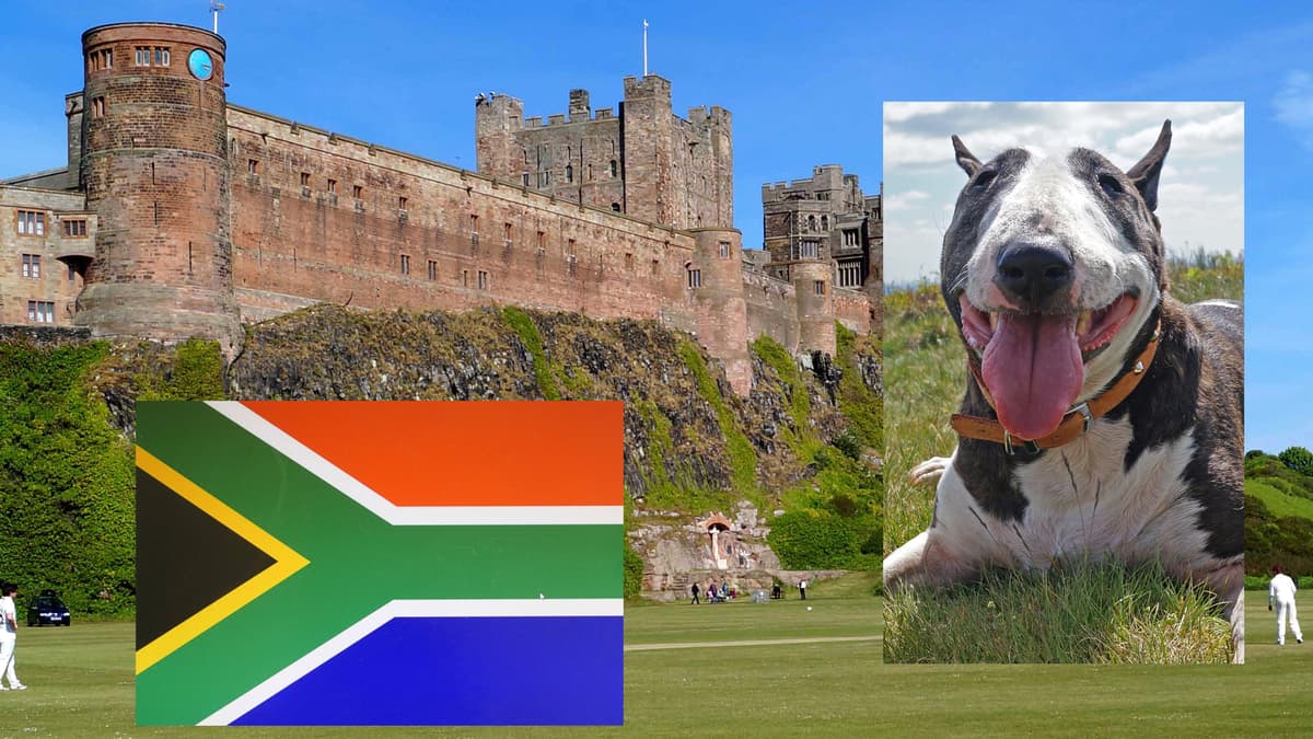 Can you identify this castle, flag and dog breed? If you enjoy a quiz ...