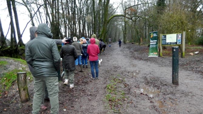 Celebration to mark end of Queen's Green Canopy project | wellington ...