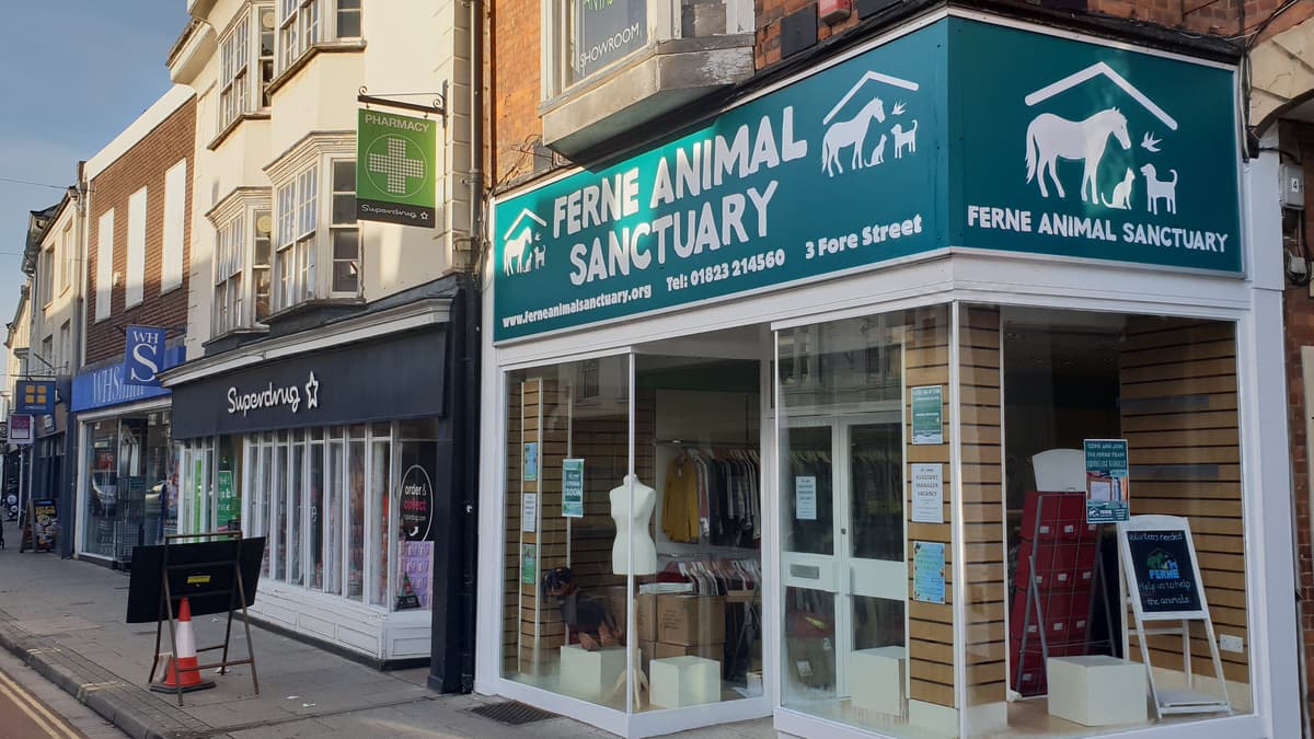 Ferne Animal Sanctuary opening charity shop in Wellington town centre ...
