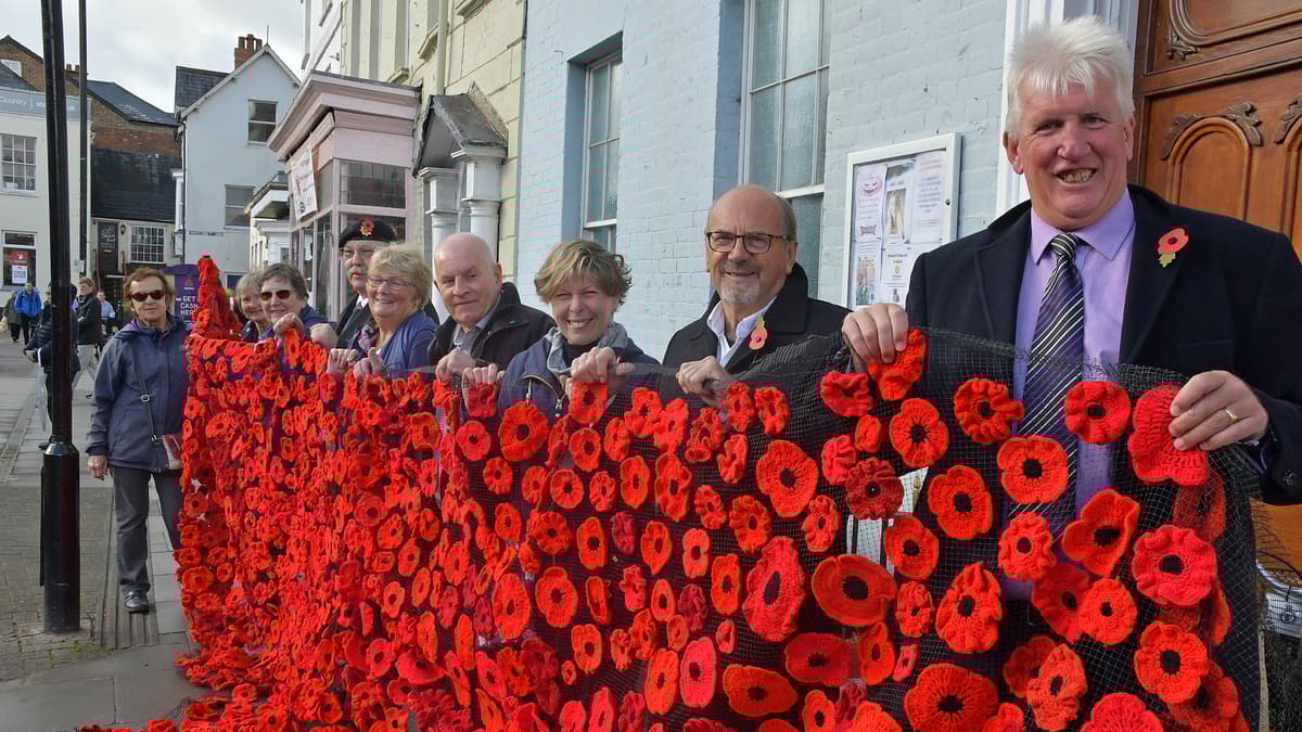 Wellington town centre poppy displays unveiled by Women's Institute ...