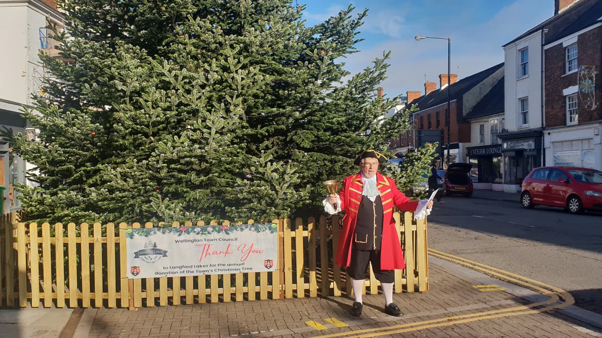 Festive celebrations on Saturday for switch-on of Wellington's new ...