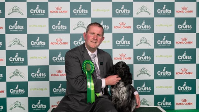 Wellington bus driver takes Ukrainian refugee dog to top Crufts title ...