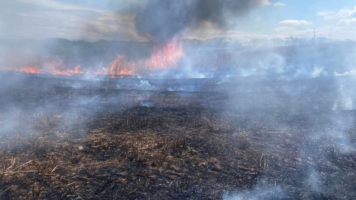 Wellington and West Somerset fire crews deal with two blazes in crop ...