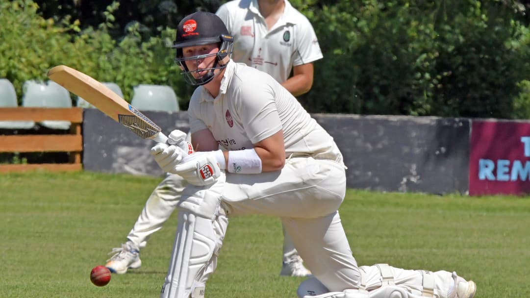 Wellington Cricket Club officials fed up with dog poo left on pitch ...