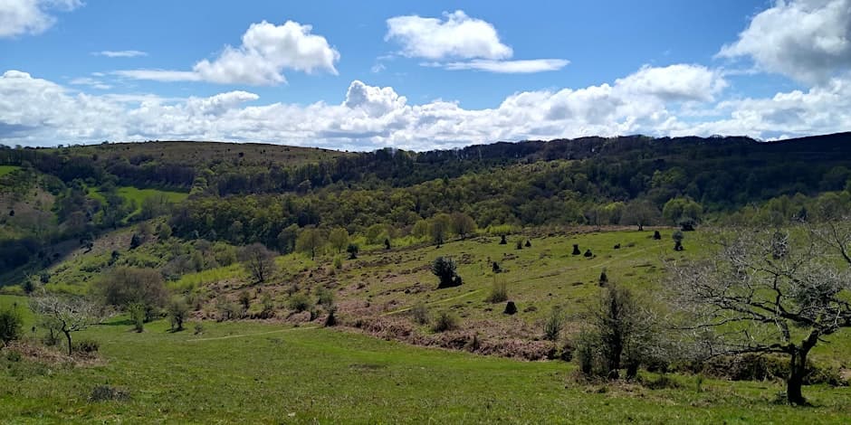 Tour of 'deserted medieval villages' on the Quantocks | wellington ...