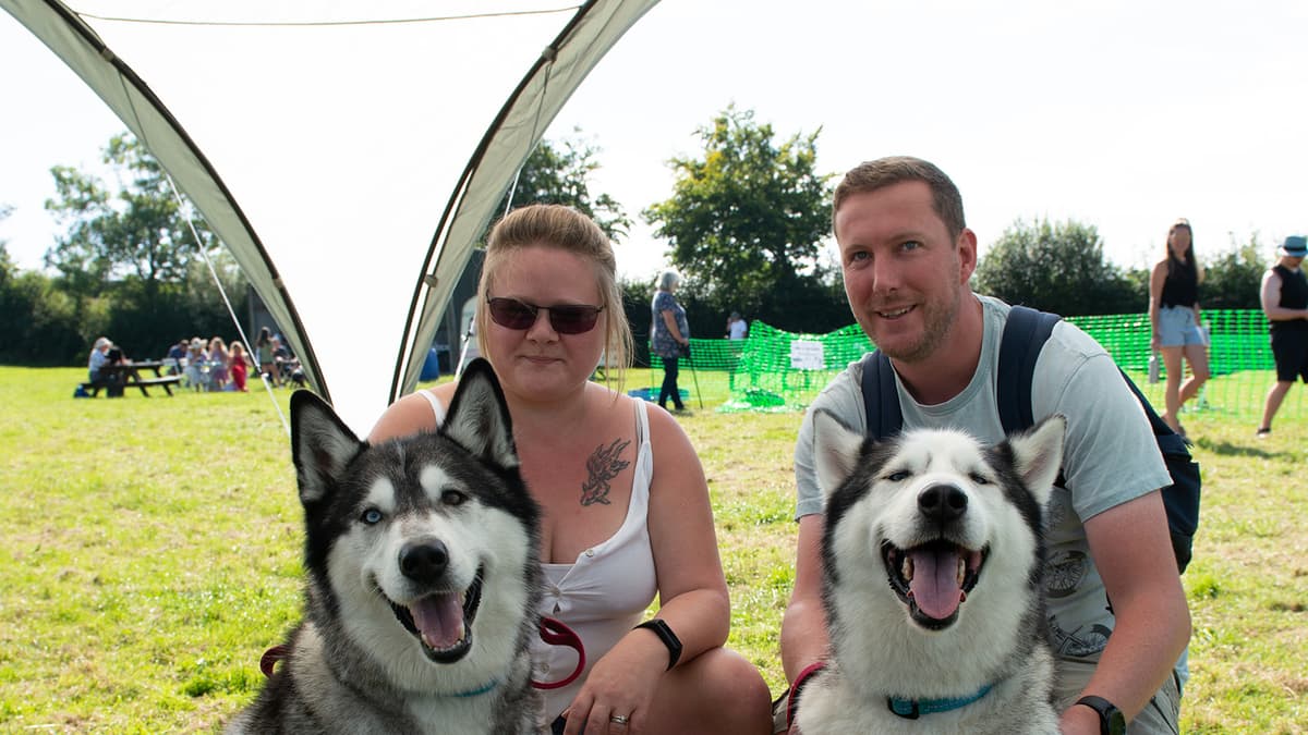 Ferne Animal Sanctuary to host day of tail-wagging fun with 30th dog ...