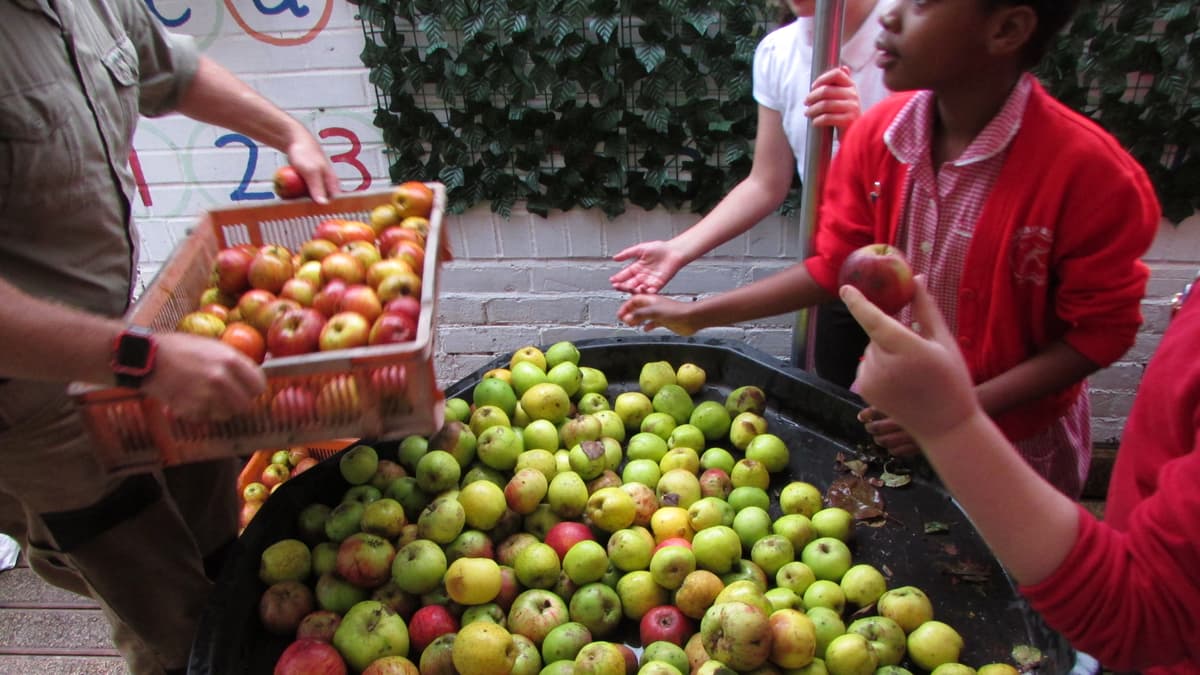 Local school hosts annual Apple Day | wellington-today.co.uk