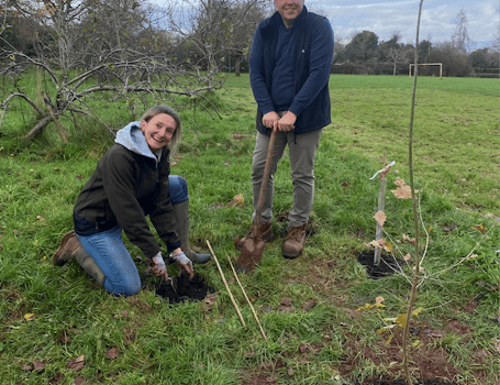 Three new jobs advertised as Wellington Town Council sets up open ...