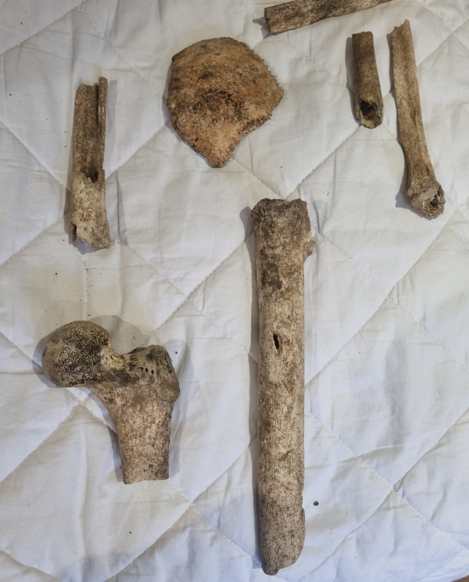 Horrified farmer finds human bones outside churchyard after floods ...
