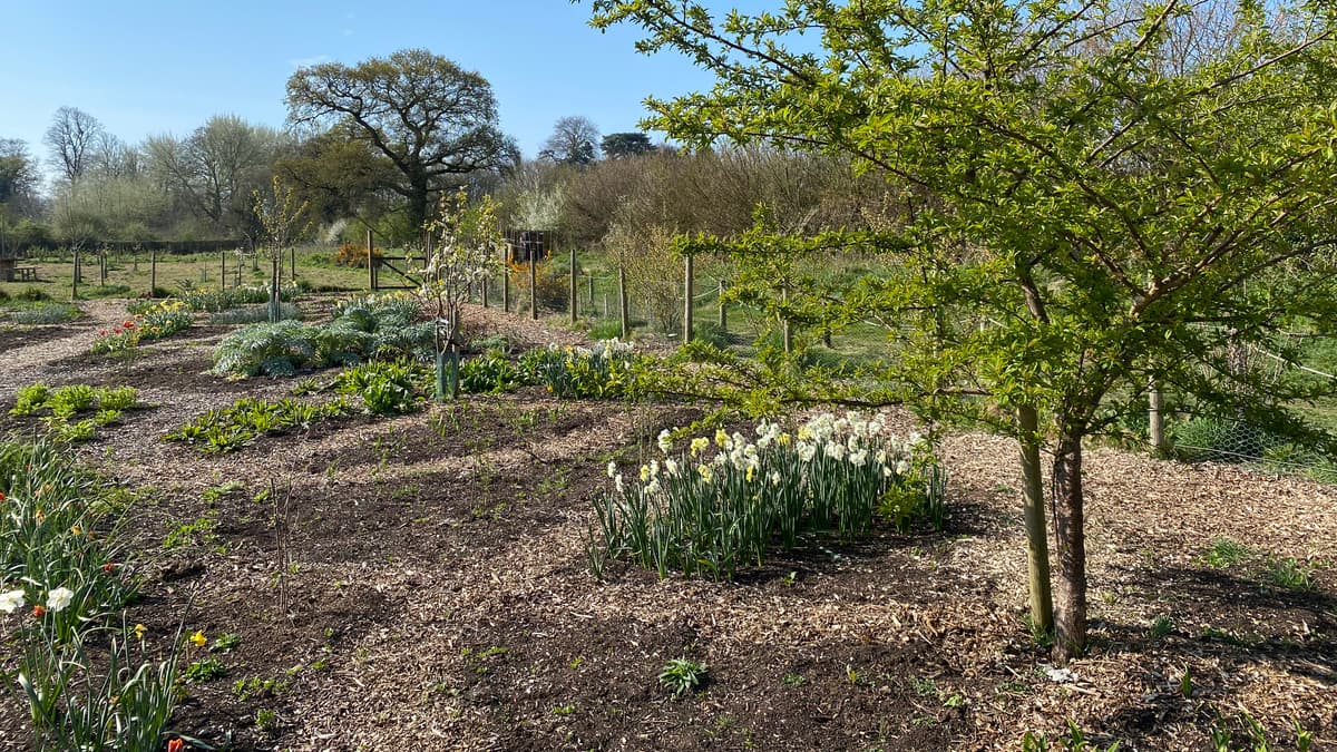 Three Transition Town Wellington sites to enjoy this Spring ...