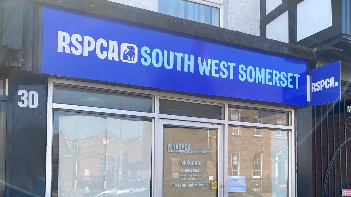Wellington RSPCA charity shop to reopen after sudden closure ...