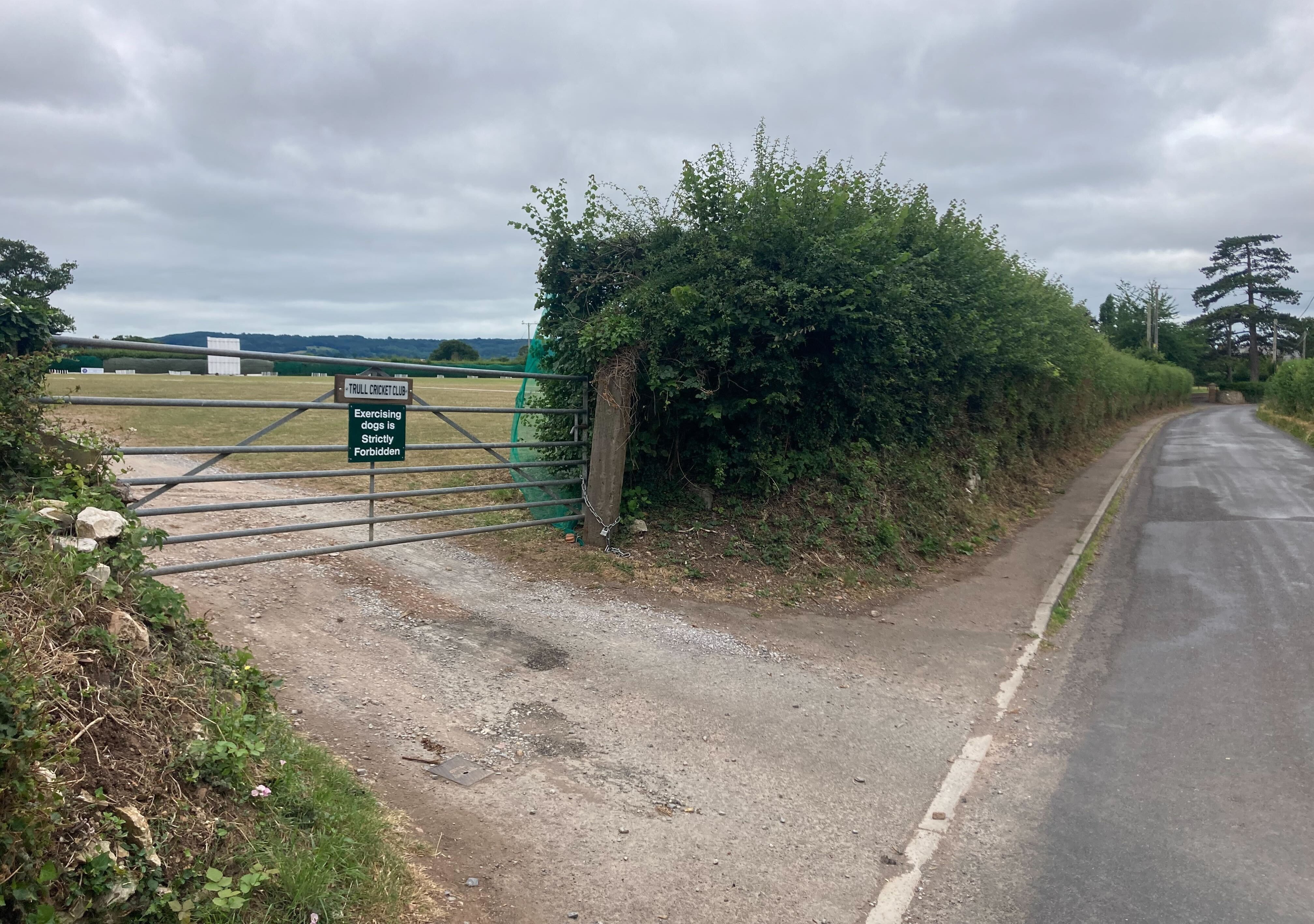 Cricket club could be surrounded by housing under revised plans for 130 ...