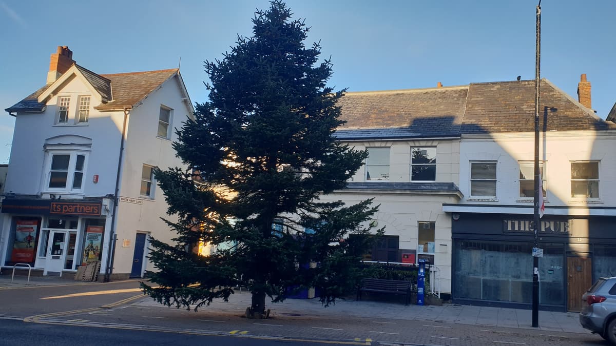 Trees are up, lights are ready, and Santa has a grotto - it's Christmas ...