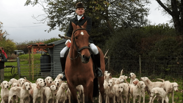Newly merged Harriers to take hounds to Wiveliscombe for New Year's Day ...