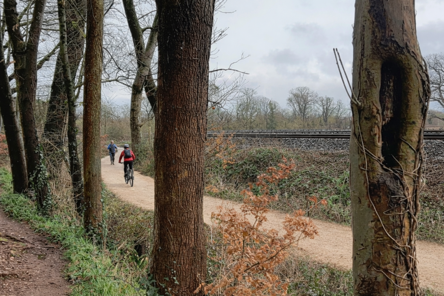Wellington greenway group holding first public meeting to give progress ...